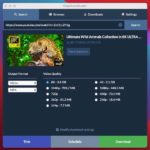 SnapDownloader Review (2026): Best Way to Download Videos?